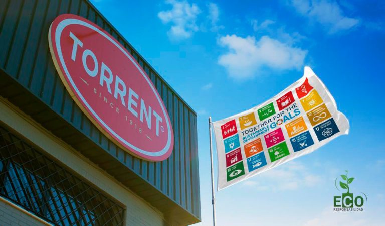 Sustainable Development Goals: A Torrent Group Commitment